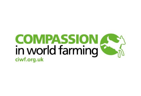 NSPCC - Techosaurus | Different Kettle